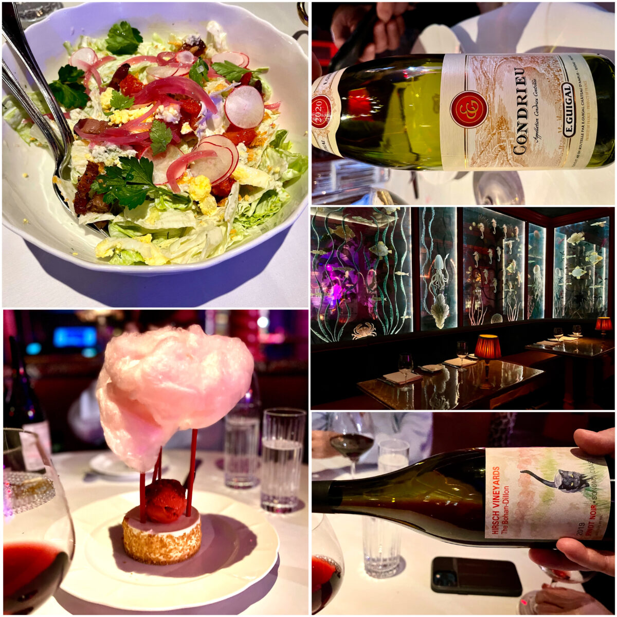 Citrus Salmon Crudo à la Mayfair Supper Club - Taste With The Eyes